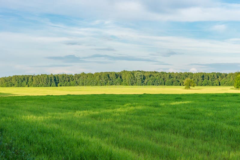 Countryside rural scenery stock photo. Image of spring - 178042888