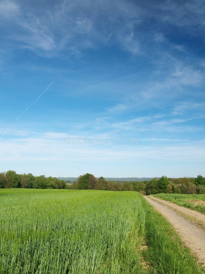 Countryside scene stock image. Image of field, wheat - 14122627
