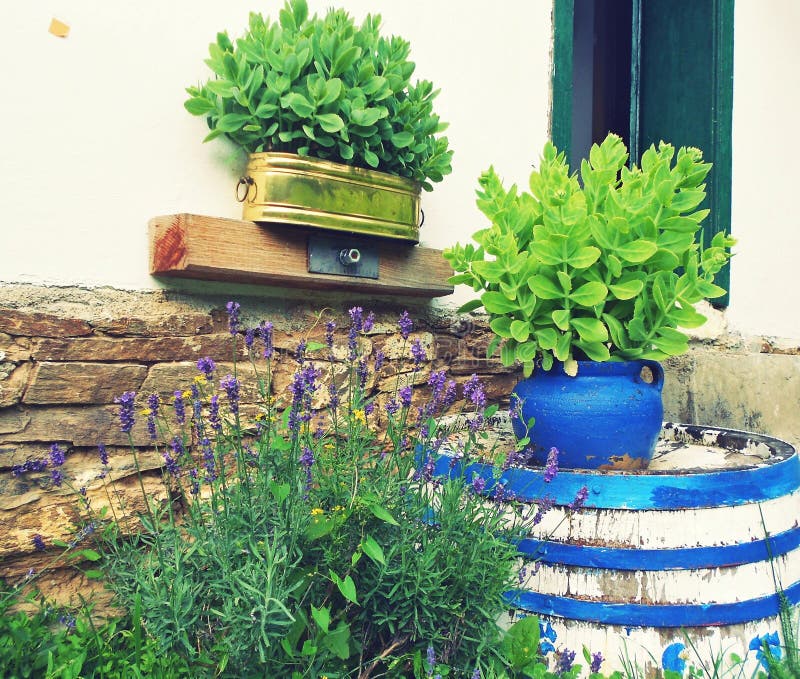 Countryside Scene, Garden Plants, Interesting Pots Stock Image - Image ...