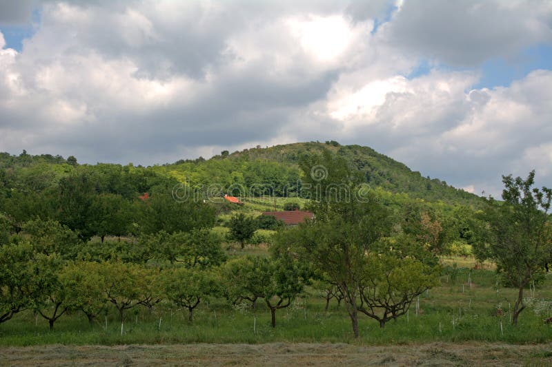 Countryside scene, Hungary stock image. Image of plant - 70589913