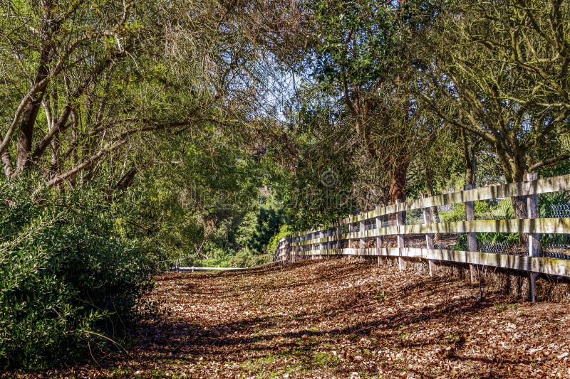 Countryside Setting in a Meadow Style Environment, Rich with Greenery ...