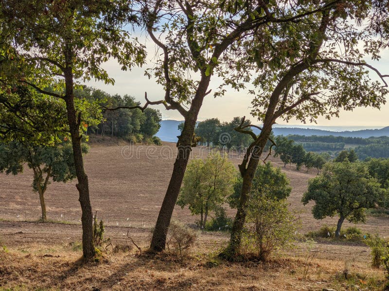 Countryside in Southern Europe Stock Image - Image of evening, oaktrees ...