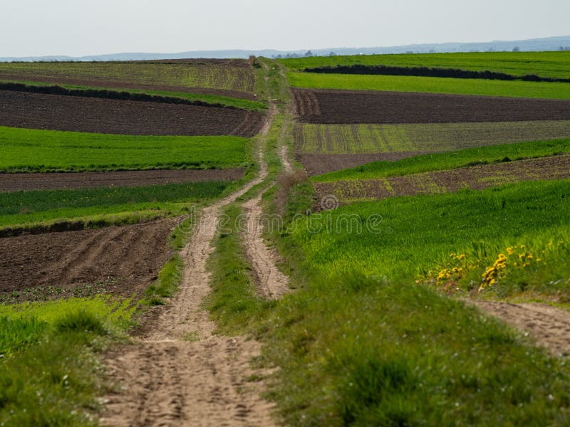 Countryside Spring Landscape of Plowed Fields. Green Grass and Path ...