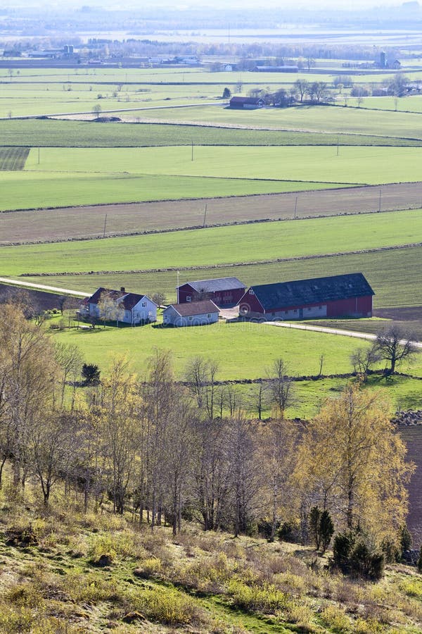 Countryside Spring Landscapes Stock Photo - Image of horizons, land ...