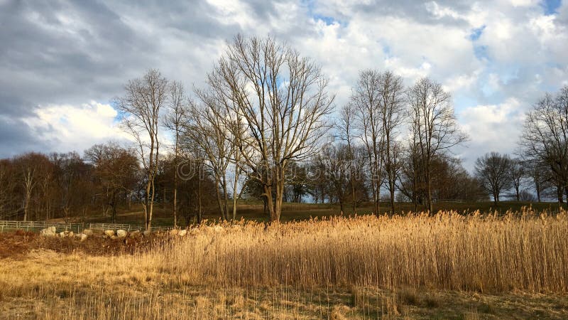 Countryside in Spring in New York Stock Image - Image of clouds ...