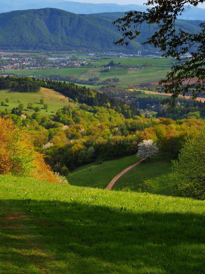 Countryside in spring stock photo. Image of spring, bloom - 85493300