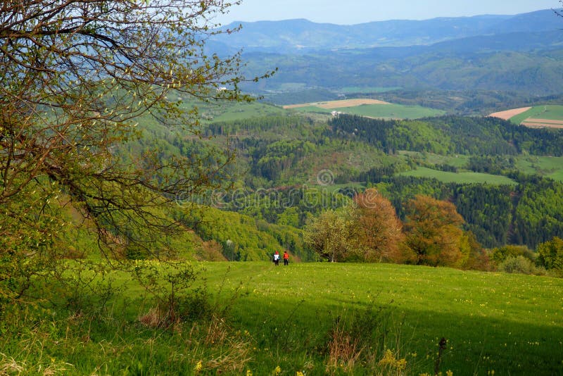 Countryside in spring stock image. Image of meadow, bystrica - 85493731