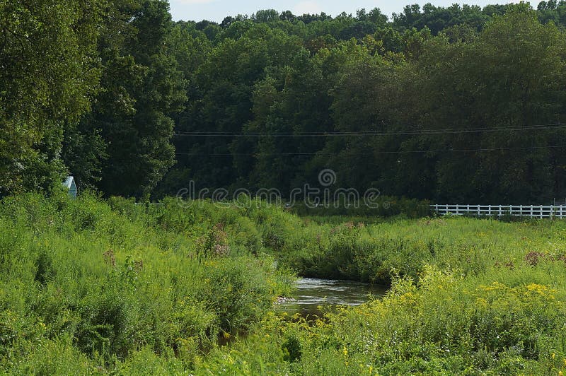 Stream between meadows stock photo. Image of mist, stream - 32894274