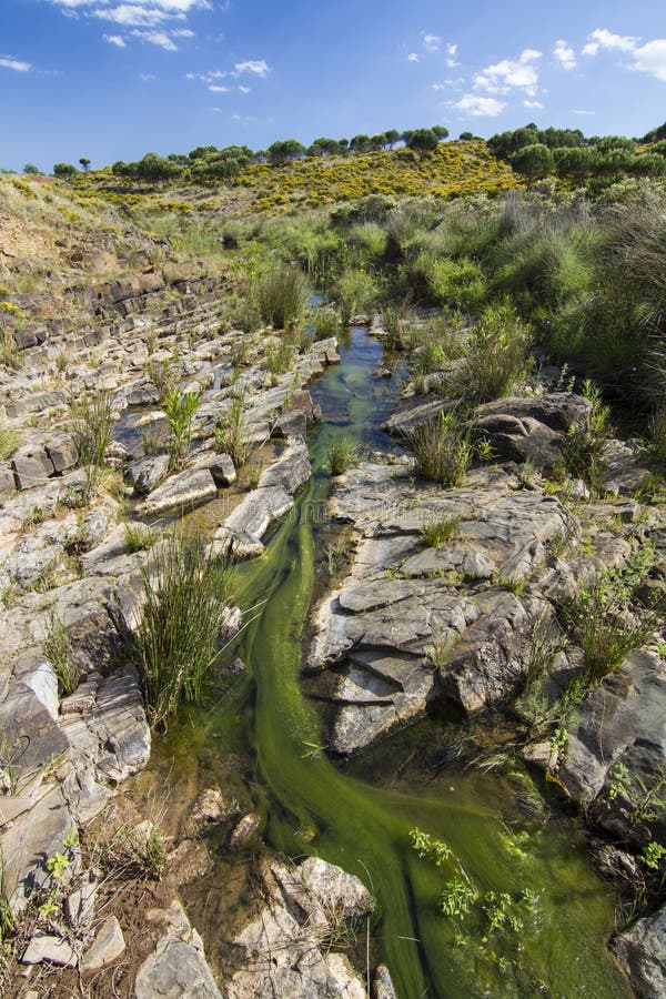 Countryside Stream of Water Stock Image - Image of relaxing, blue: 33181723
