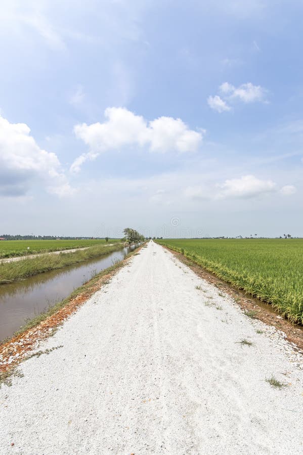 Countryside street stock photo. Image of green, landscape - 54056426