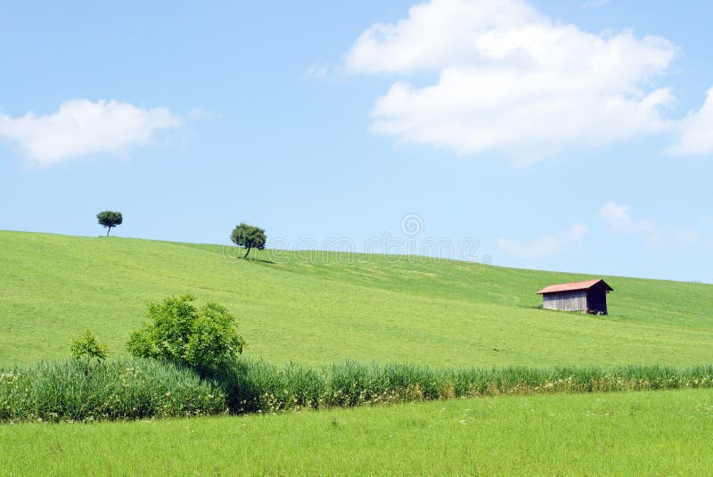 Countryside Summer with Blue Sky Stock Image - Image of cloud ...
