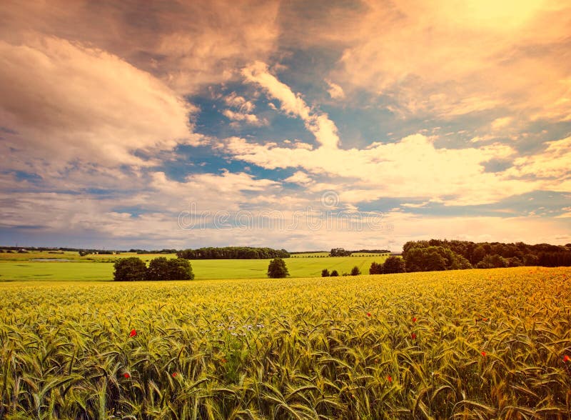 Countryside sunset stock image. Image of pure, environment - 2816753