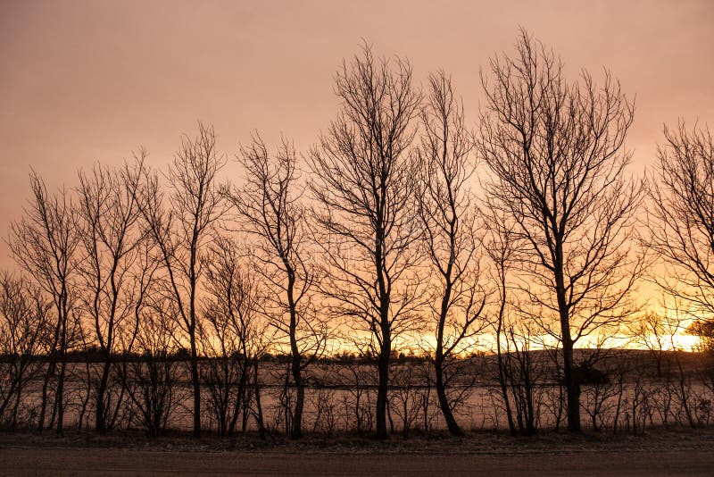 Countryside sunset stock image. Image of branch, outdoor - 29397741