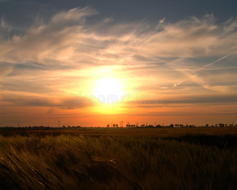 Countryside Sunset stock image. Image of grass, sundown - 5419265