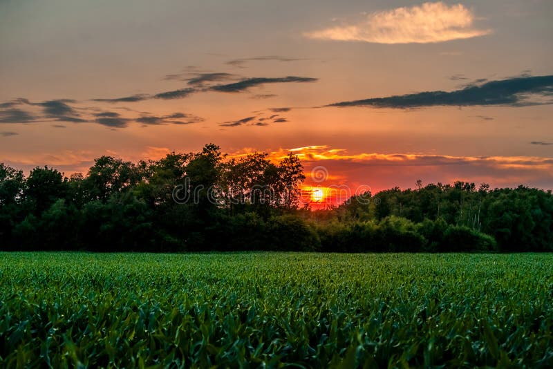 Countryside sunset stock photo. Image of country, pasture - 43560274