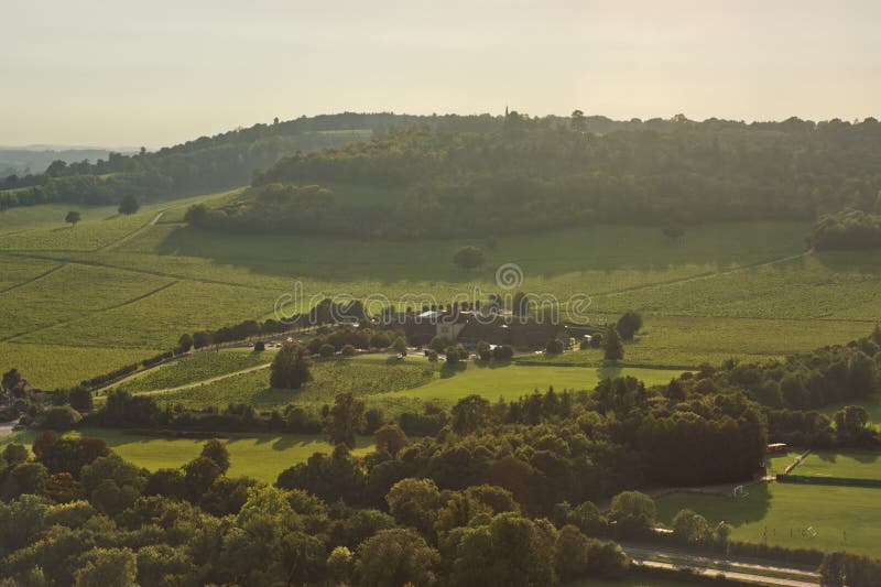 Denbies Hillside, Surrey, England Stock Image - Image of surrey ...