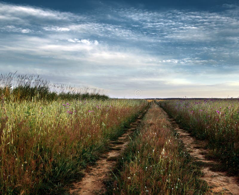 Open Field and a Dirt Road stock photo. Image of farm - 3551428