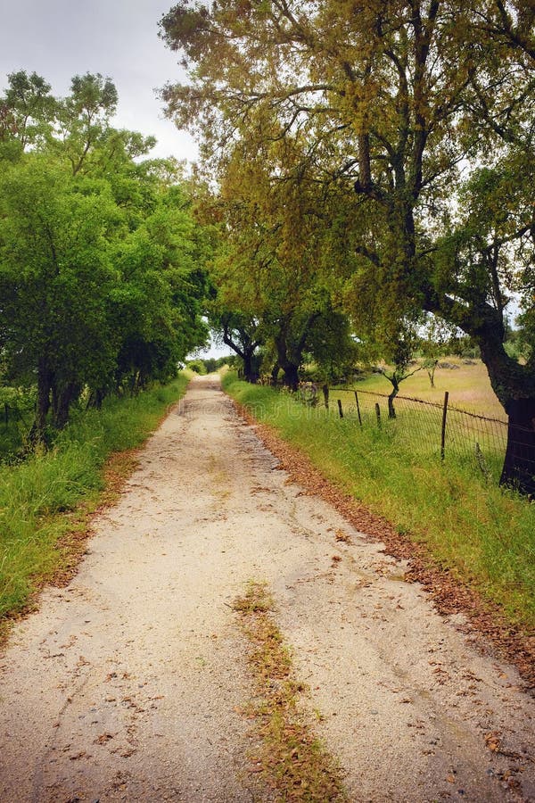 Countryside Trail stock image. Image of farm, puddle - 73611039