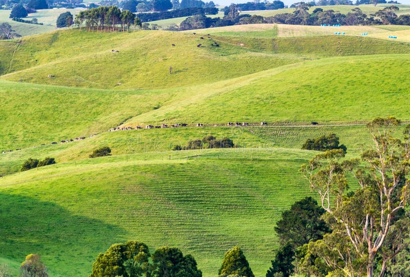 Australia Countryside, August 2009 Stock Photo - Image of monolith ...