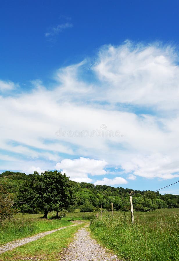 Countryside View stock photo. Image of lonely, autumn - 2543414