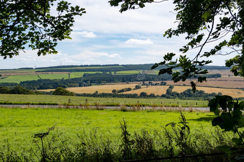 Countryside View Near Durham Stock Image - Image of daytime, grass ...