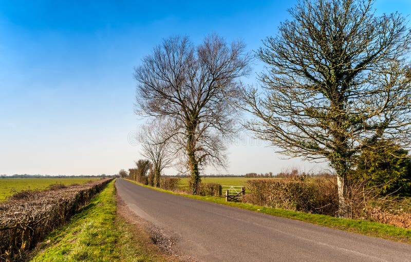 Countryside view - low sun stock photo. Image of fields - 85983314