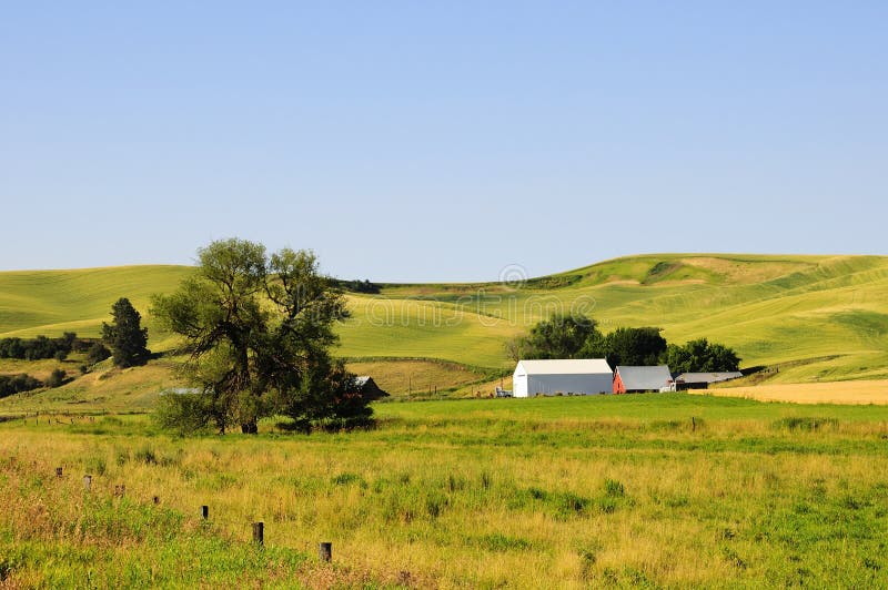 Countryside View in Palouse Stock Image - Image of countryside, rural ...