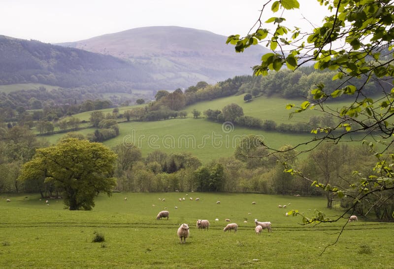 Countryside in Wales stock image. Image of natural, fields - 13389797