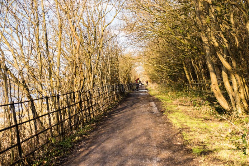 Countryside walk stock image. Image of trees, grass - 138974667