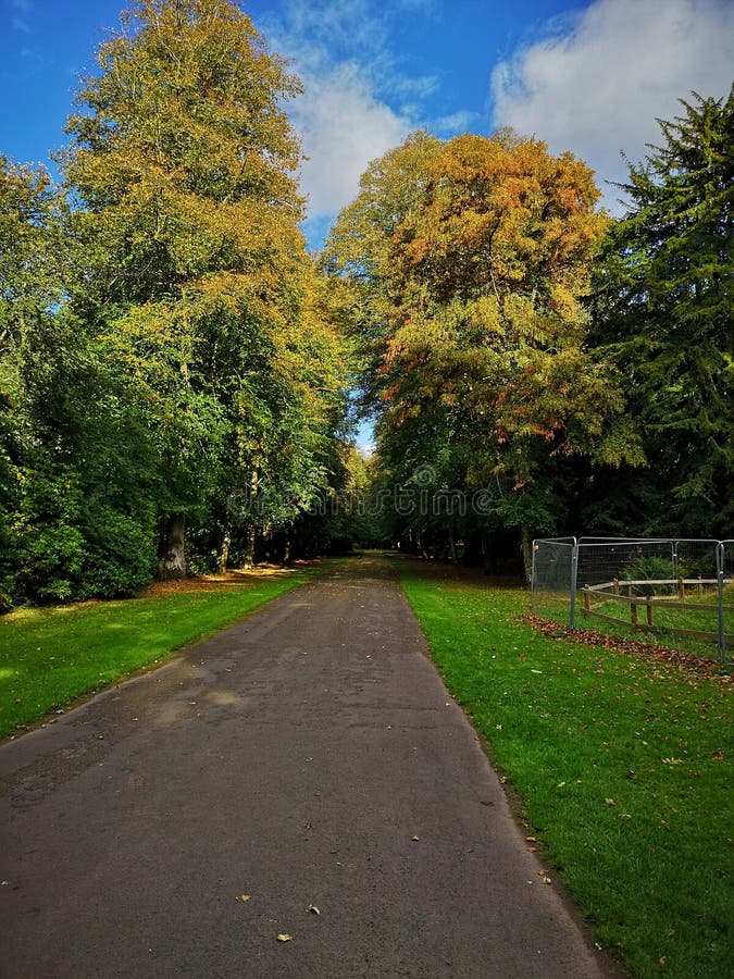 A countryside walk stock image. Image of leaves, nohuman - 133914545