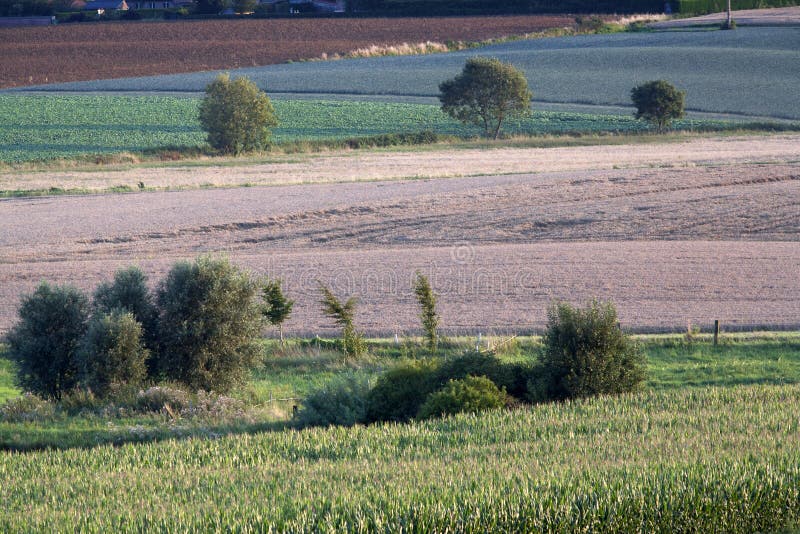 Countryside stock image. Image of outdoors, urban, nature - 43667655