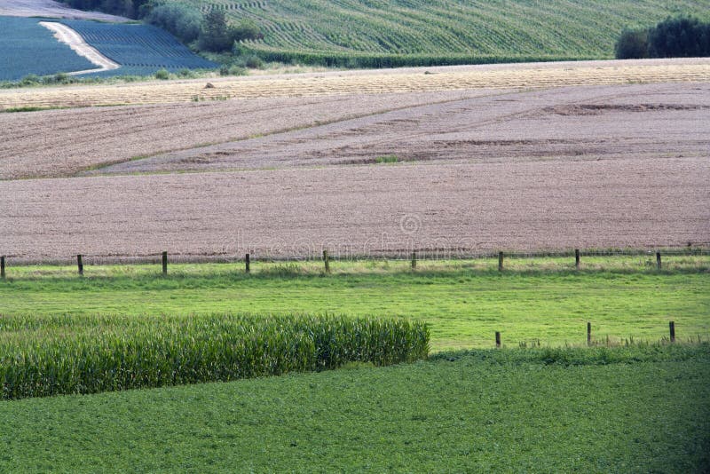 Countryside stock photo. Image of grain, nature, landscaped - 43668176