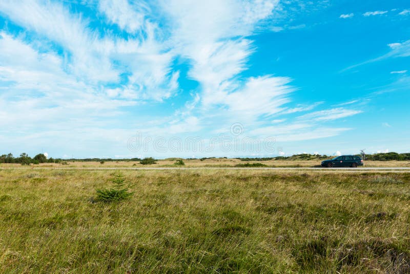 Countryside, Wild Meadow and Blue Sky Stock Photo - Image of natural ...
