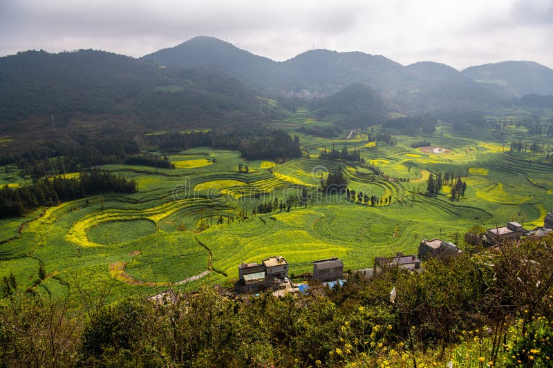 The County of Luoping in Eastern Yunnan is Noted for Its Beautiful ...