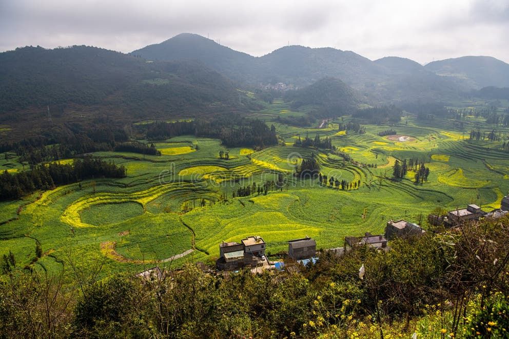 The County of Luoping in Eastern Yunnan is Noted for Its Beautiful ...