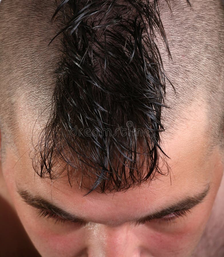 Coupe de Mohawk photo stock. Image du mohawks, punk, coupe - 5546934