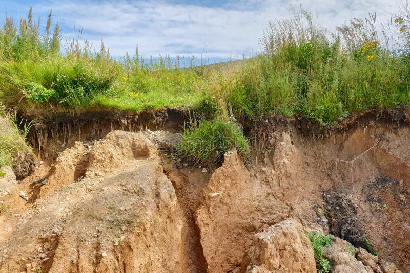 Coupe de sol et d'herbe image stock. Image du vert, fonds - 116766043