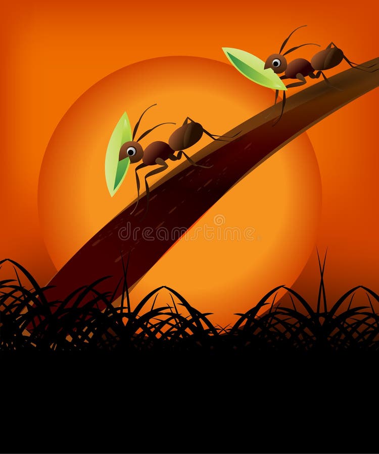 Couple of Ants in the Sunset Stock Vector - Illustration of contour ...