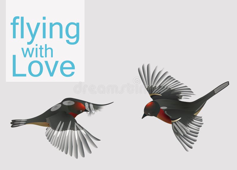 Flying bird stock illustration. Illustration of smiling - 78622297