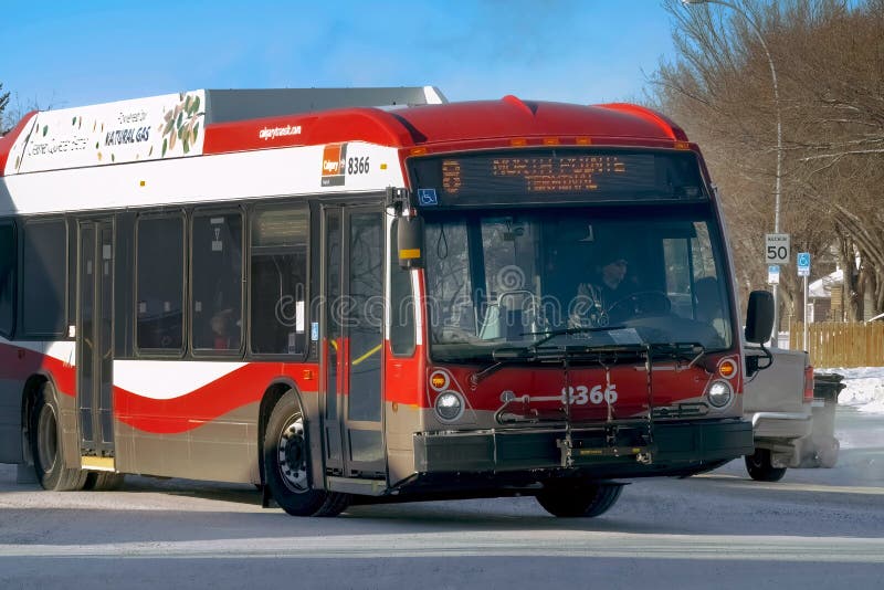 A Couple of Calgary Transit Buses during the Afternoon in the Winter ...