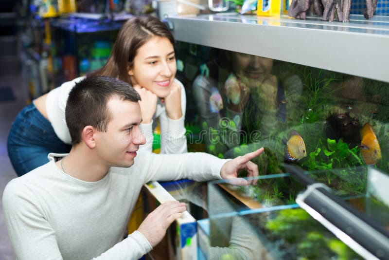 Couple Choosing Aquarium Fish Stock Image - Image of fish, select: 74102801