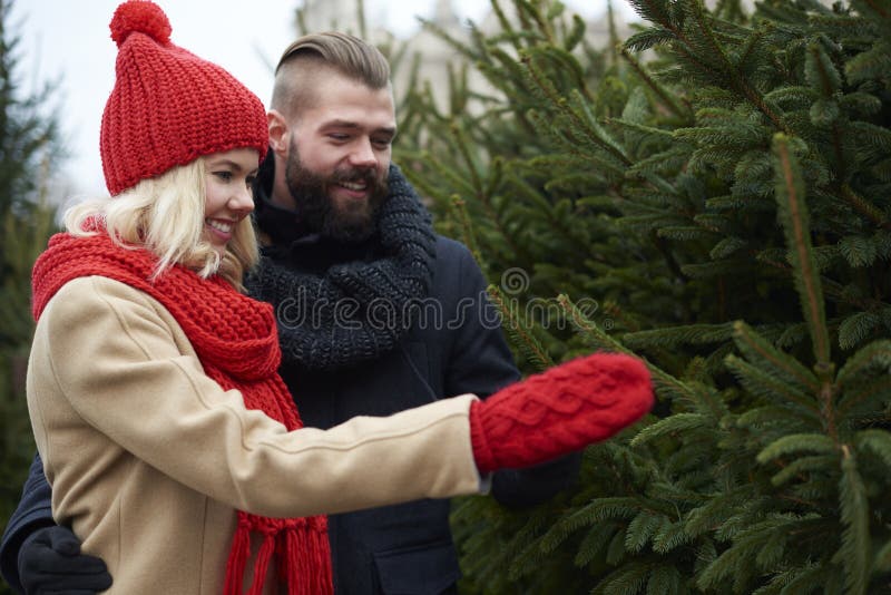Couple with Christmas tree stock image. Image of buying - 79716747