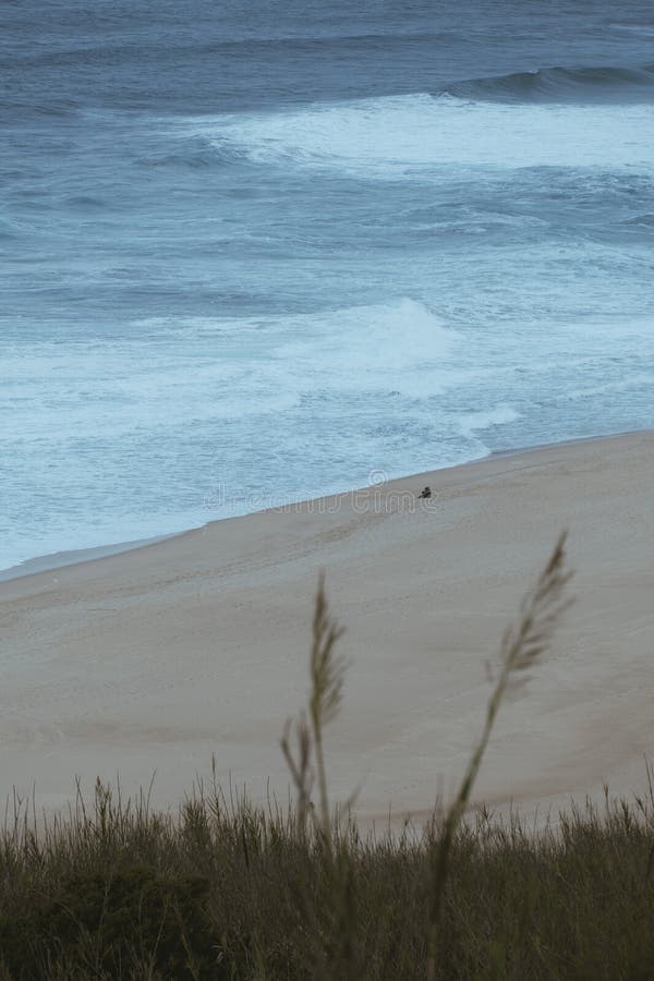 Special Time Together Looking the Waves Stock Image - Image of ...