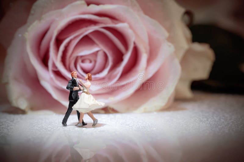 Couple Dancing in Front of a Pink Rose Stock Image - Image of beautiful ...