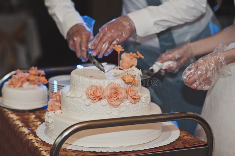 The Couple Divided the Cake for Guests 4319. Stock Image - Image of ...