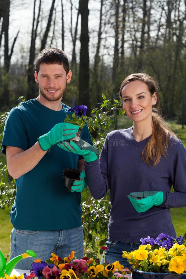 Two Gardeners Doing Paperwork between Plants Stock Image - Image of ...