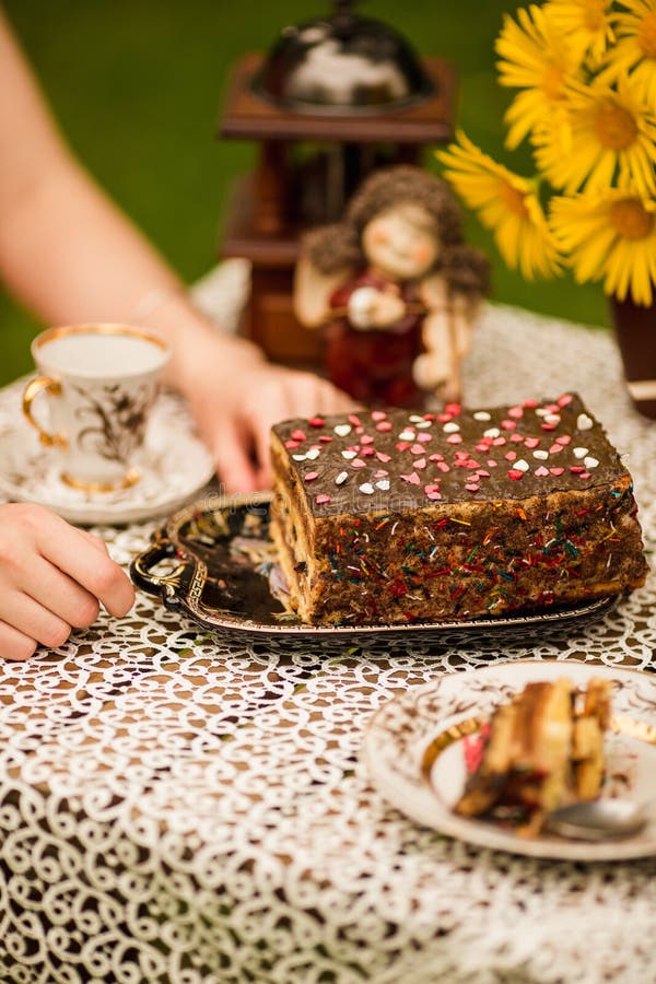 Couple Drinking Tea in the Park Under a Tree Stock Image - Image of ...