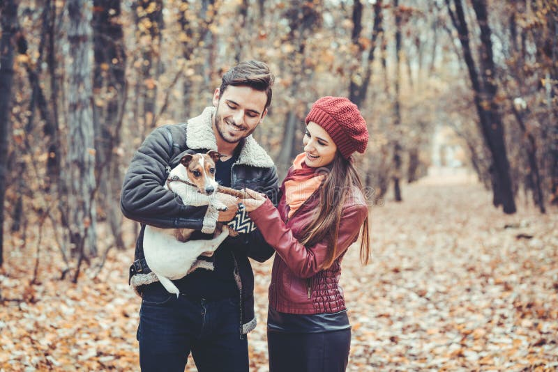 Couple in Fall Having Walk with Dog in a Park Stock Photo - Image of ...