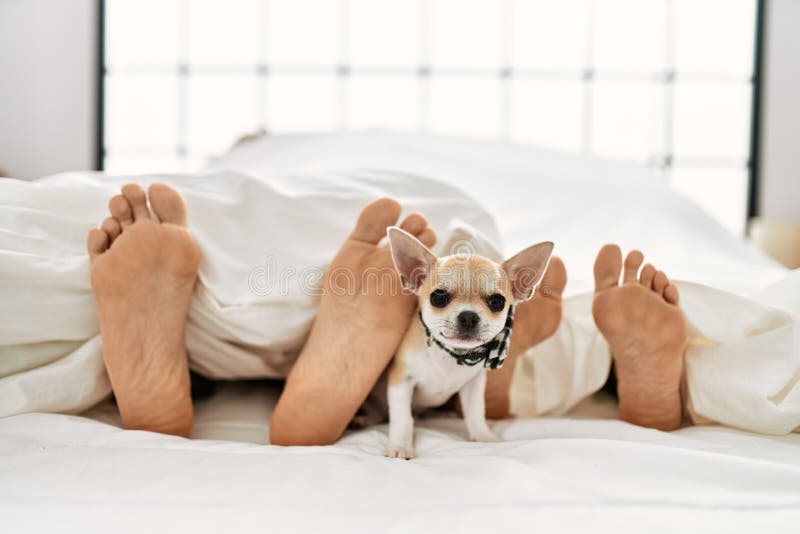 Couple feet and dog on bed stock image. Image of cozy - 253697455