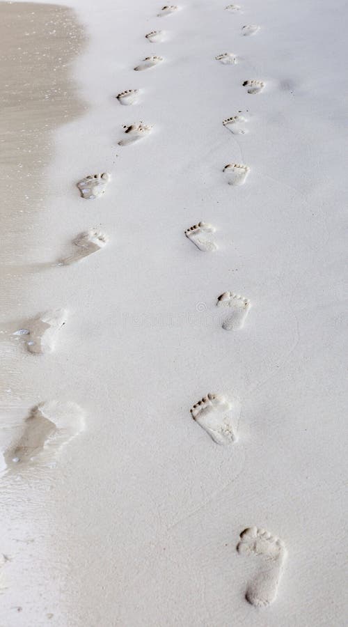 The Couple Footprints on the Beach Stock Photo - Image of seashore ...